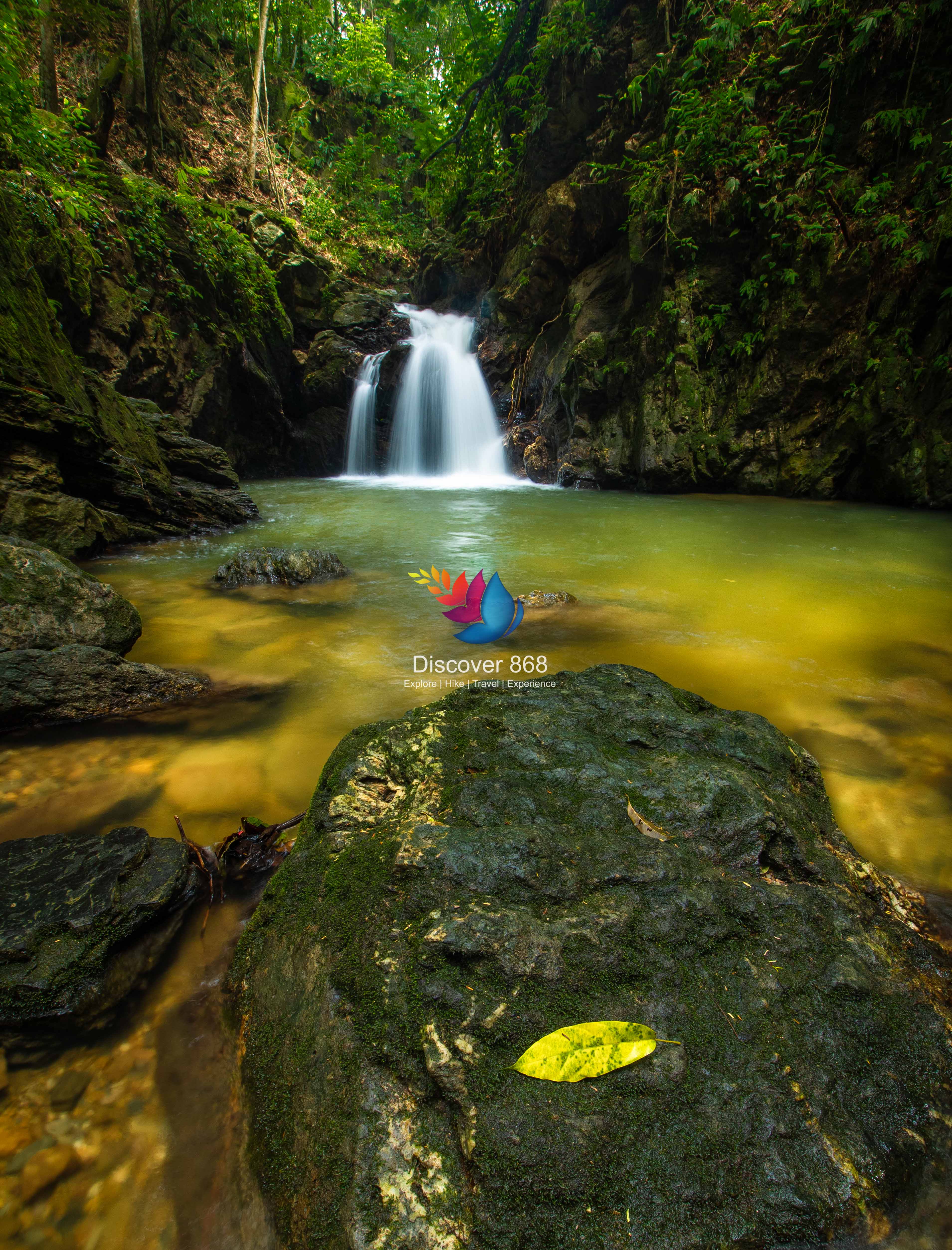 Waterfalls In Toco Trinidad
